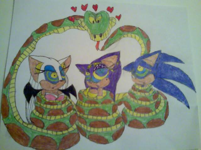 Kaa, Rouge, Shannon, and Sonic by PrincessShannon07 on DeviantArt