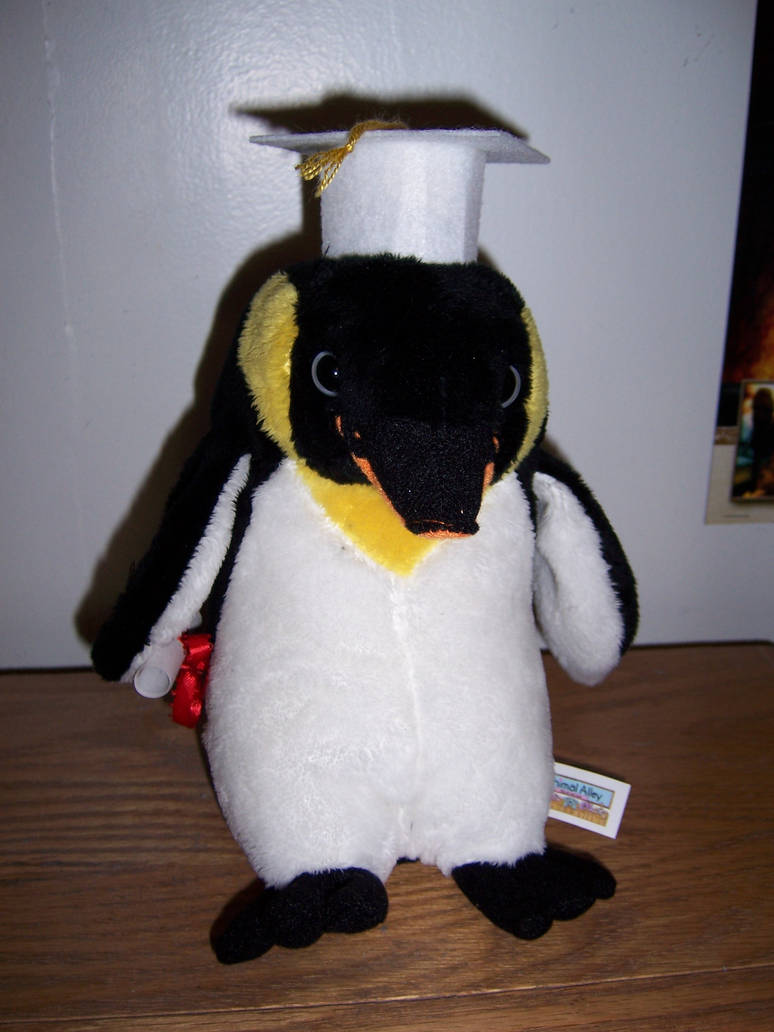 Graduation Penguin 01 by Mazzy12345 on DeviantArt
