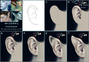 ear tutorial by twosilverstars on DeviantArt