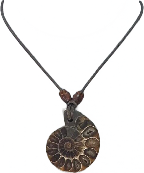 Ammonite Fossil Pendant Necklace By Zufab69 On Deviantart