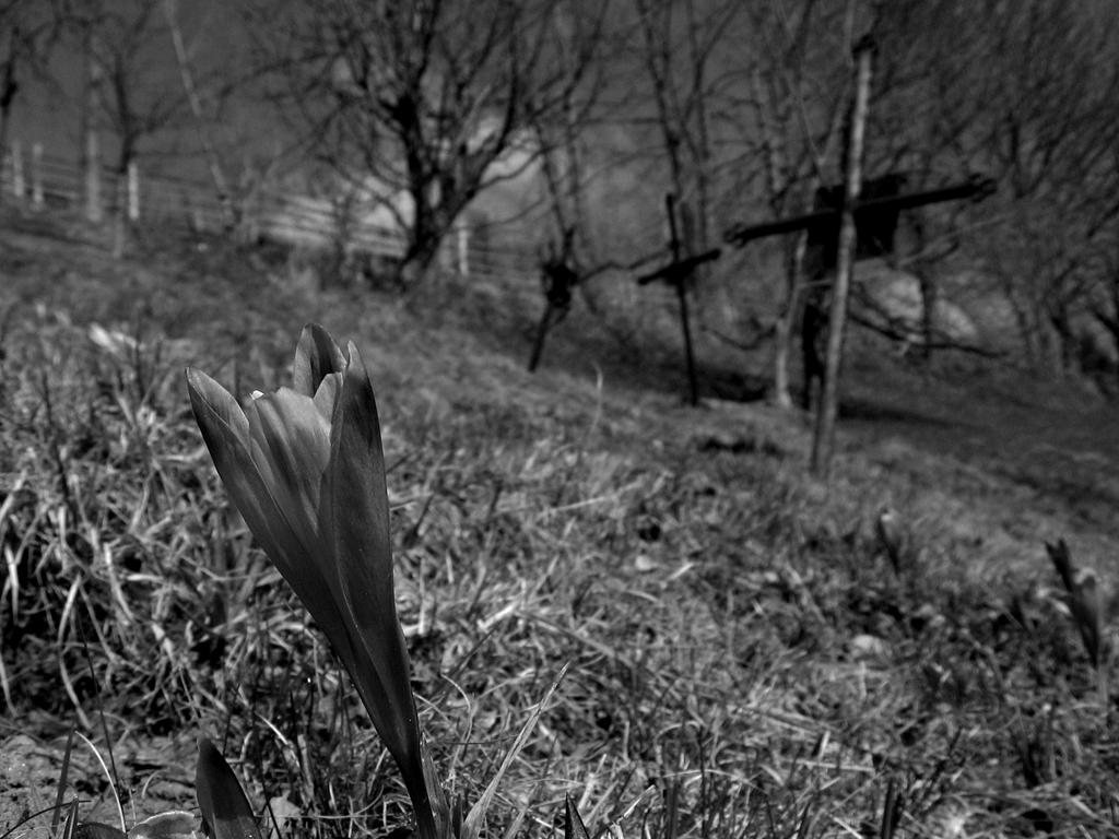 Hope By Traznitul On DeviantArt hope-by-traznitul-on-deviantart