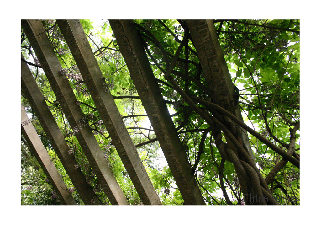 Ritan park by murushki on DeviantArt