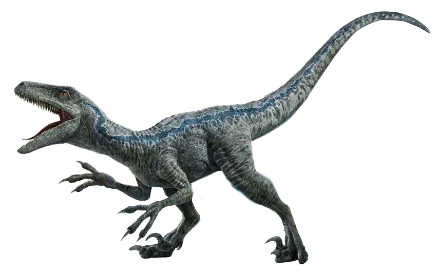 Jurassic world dominion Raptor blue render png by Junior3DSYMas on ... Jurassic world dominion Raptor blue render png by Junior3DSYMas on ...