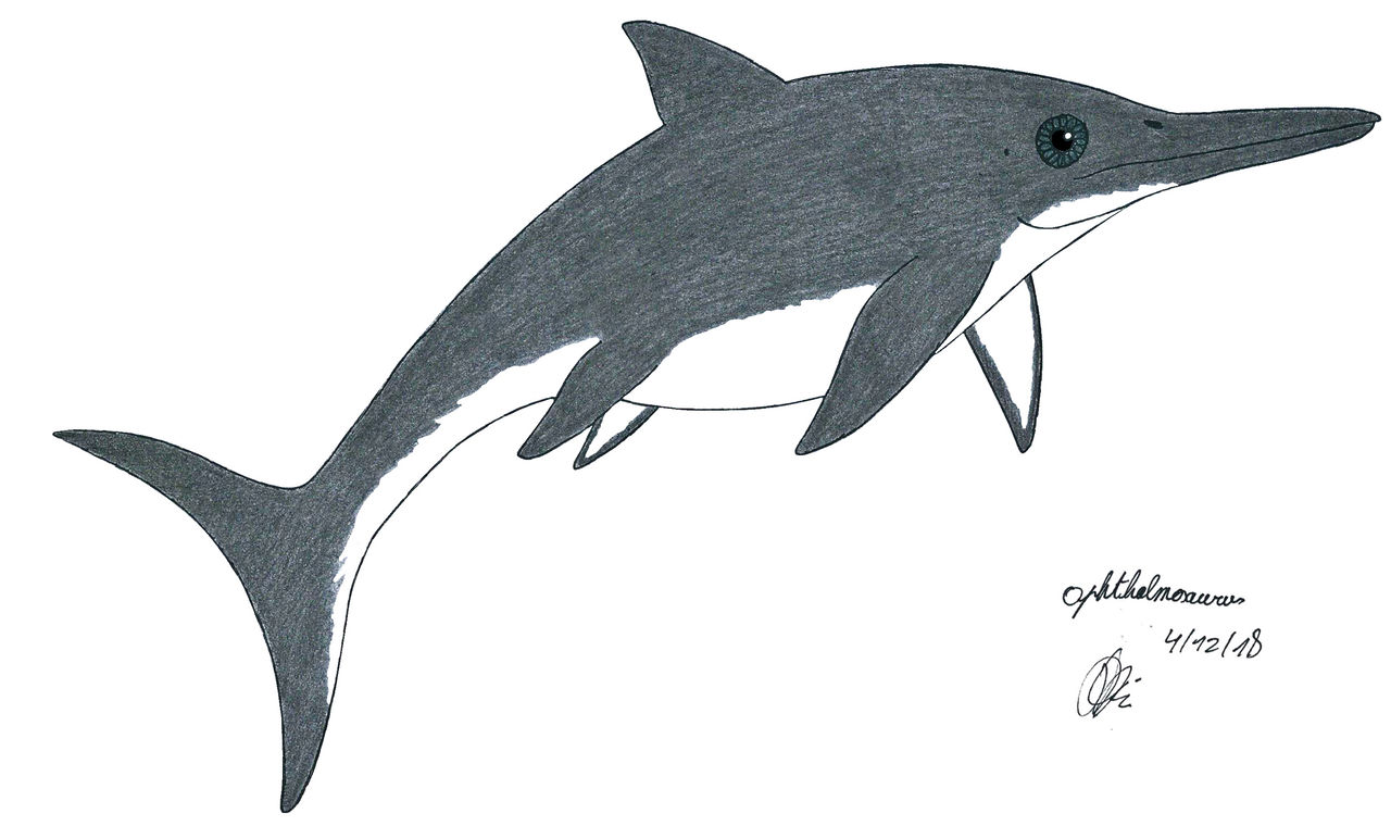 Ophthalmosaurus By Suchomimus62 On Deviantart