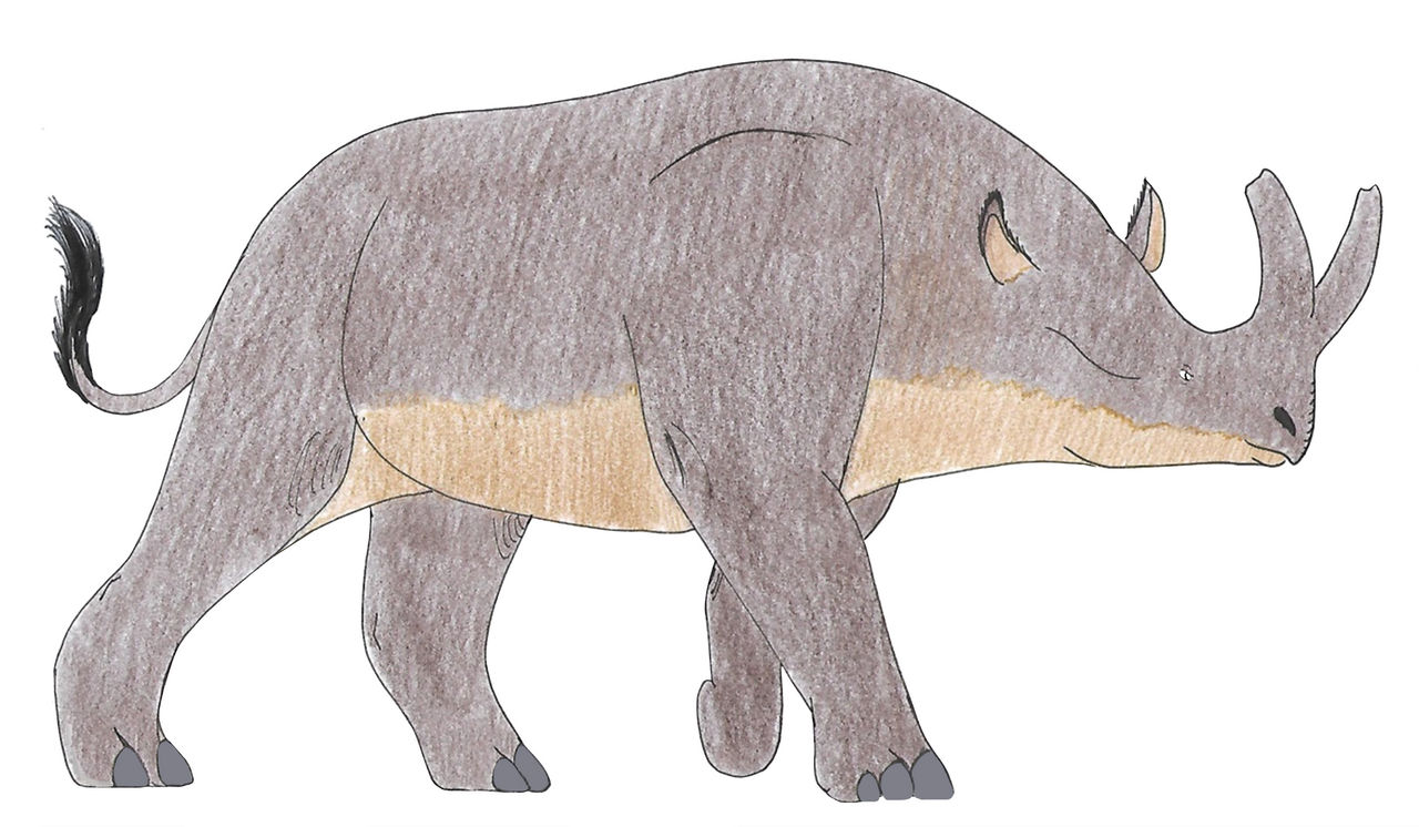 Megacerops By Suchomimus62 On Deviantart