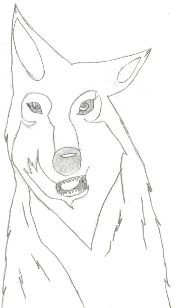 Toboe Wolf Form by wolvesDad on DeviantArt