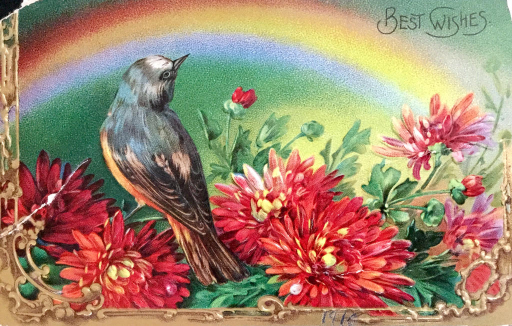 Delightful Rainbow by Yesterdays-Paper on DeviantArt Delightful Rainbow by Yesterdays-Paper on DeviantArt