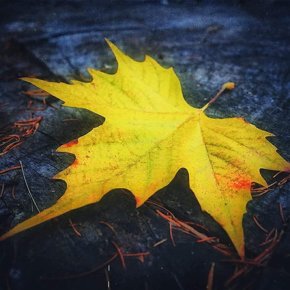 Autumn Falls By Earthandmoon On Deviantart
