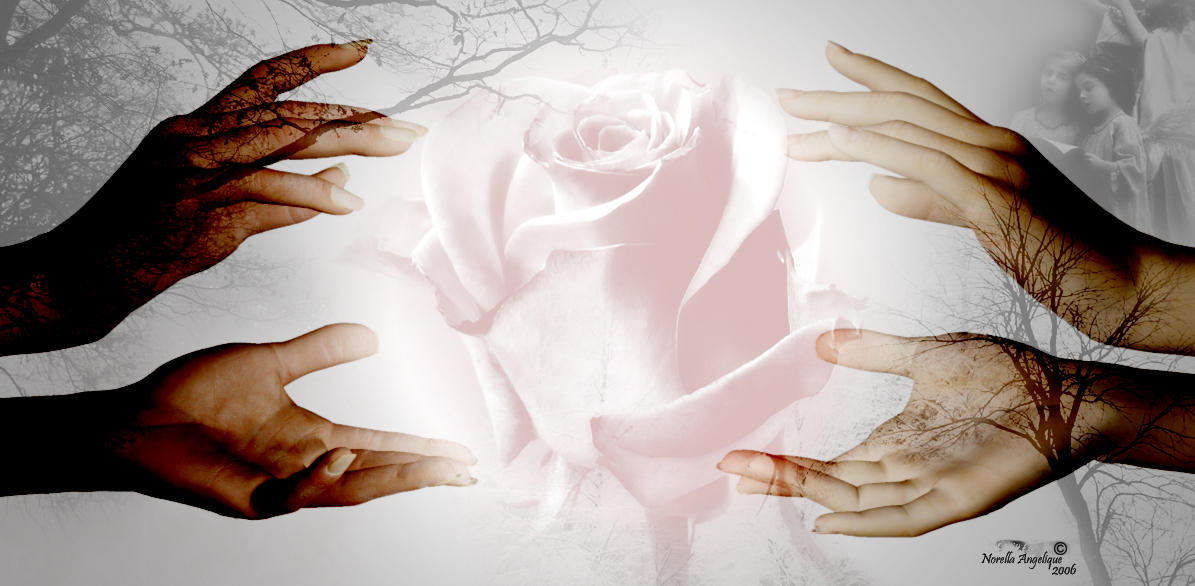 Angelic Rose by NorellaAngelique on DeviantArt