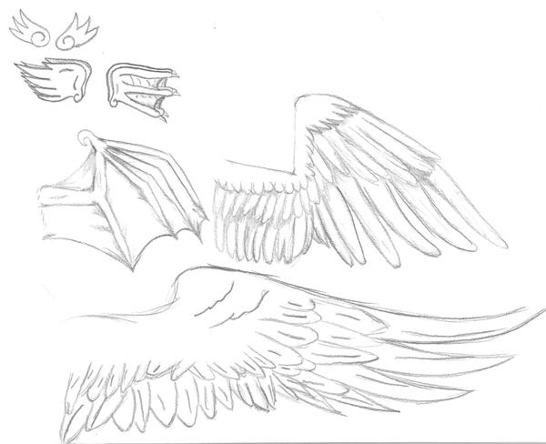 .::Wing Practice::. by WhiteWolf2 on DeviantArt