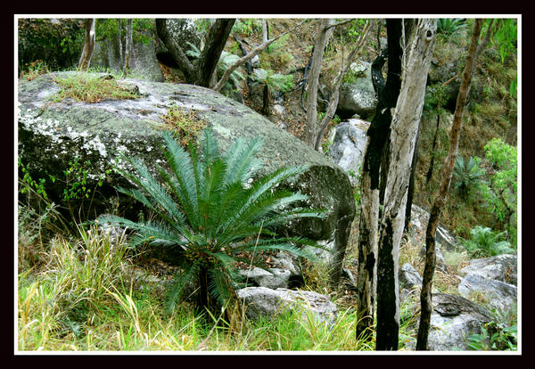 roadside ravine by Buddhalassie on DeviantArt