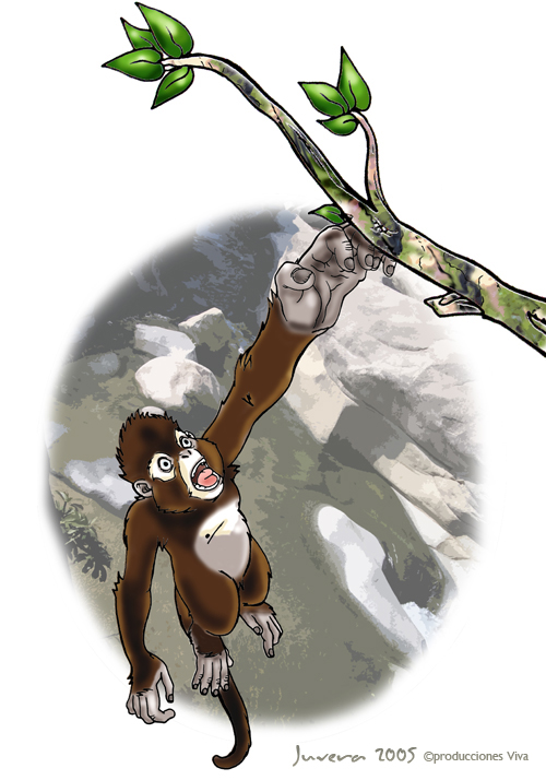 Even Monkeys Fall Off Trees by Juvera on DeviantArt