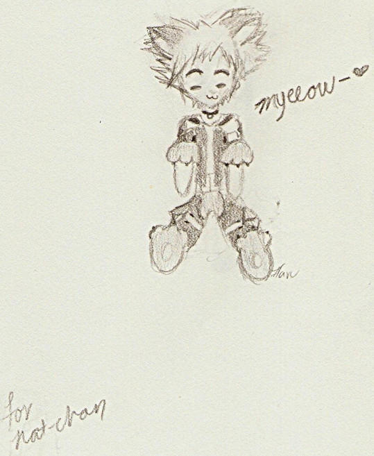 Sora Neko by bloodstainedchakrams on DeviantArt