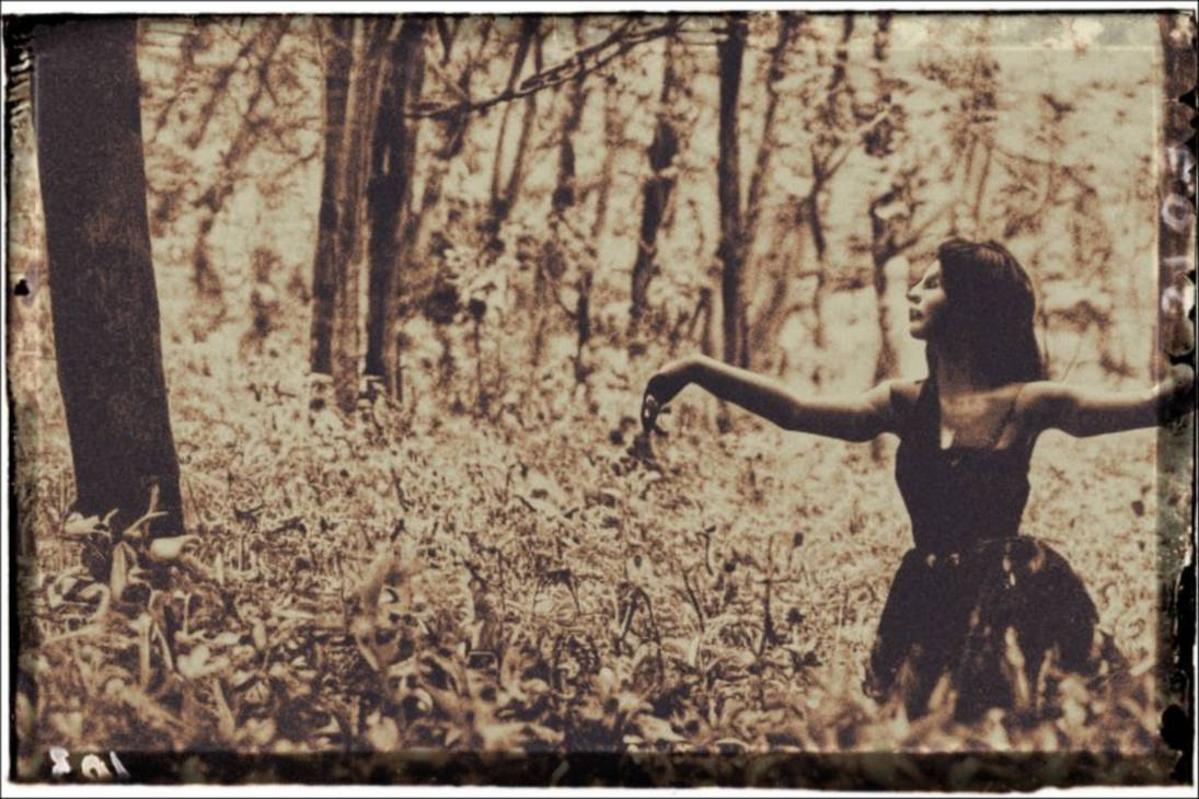 Wild Vacations 5 By Fritzgessler On Deviantart