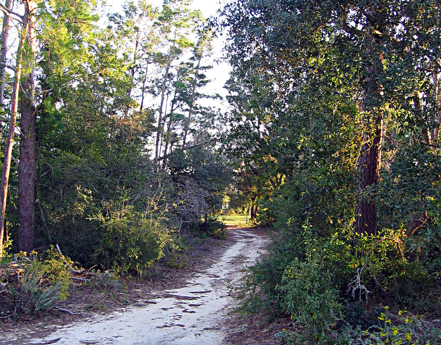 Dirt Path 2 by ILoveVacStock on DeviantArt