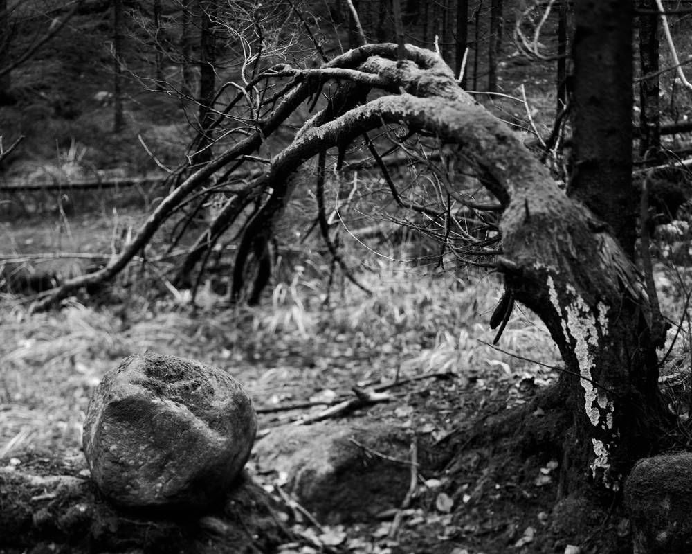 Bent Out Of Shape By TomFindahl On DeviantArt bent-out-of-shape-by-tomfindahl-on-deviantart