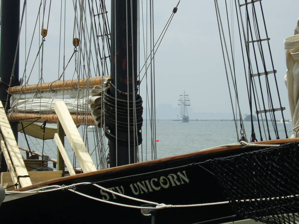 Parade of Sails pt. 2 by sapphireblitz on DeviantArt