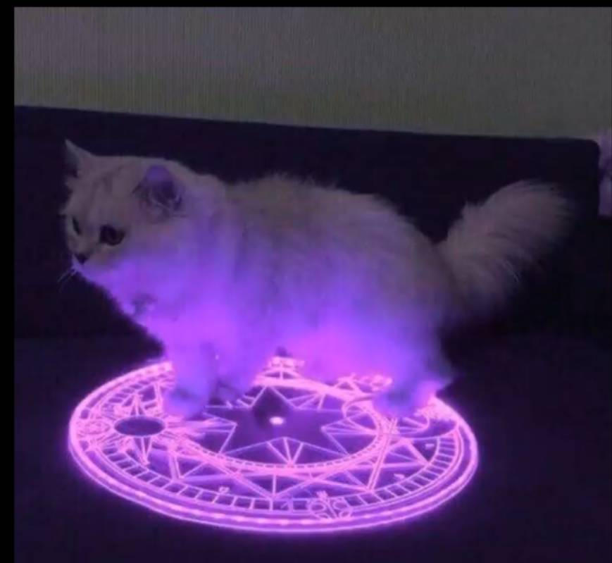 DEMONIC LITTLE GREY CAT by charizardperson on DeviantArt DEMONIC LITTLE GREY CAT by charizardperson on DeviantArt