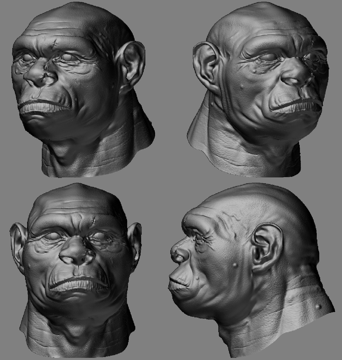 Homo Erectus by RedHeretic on DeviantArt