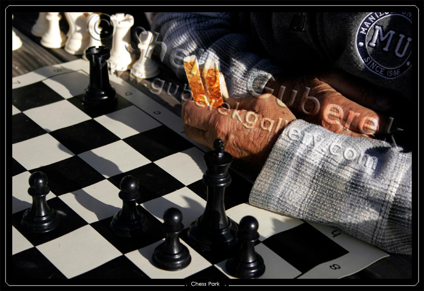 Chess Park by Shelly-Guberek on DeviantArt