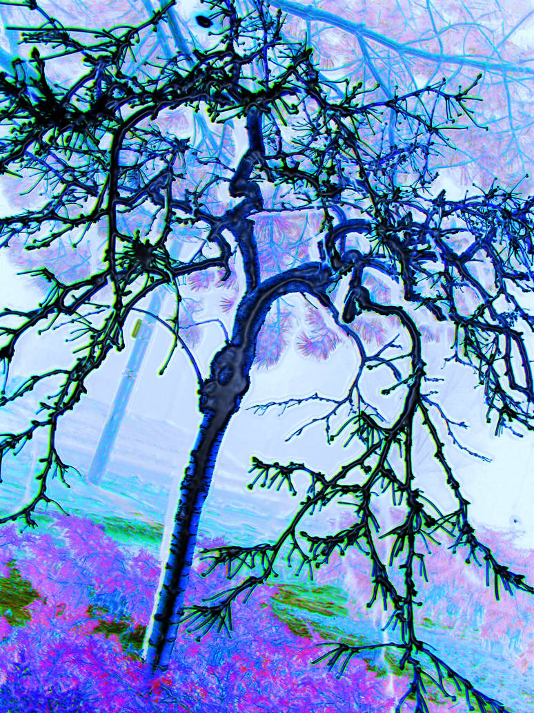 Trippy Tree by 123followme on DeviantArt
