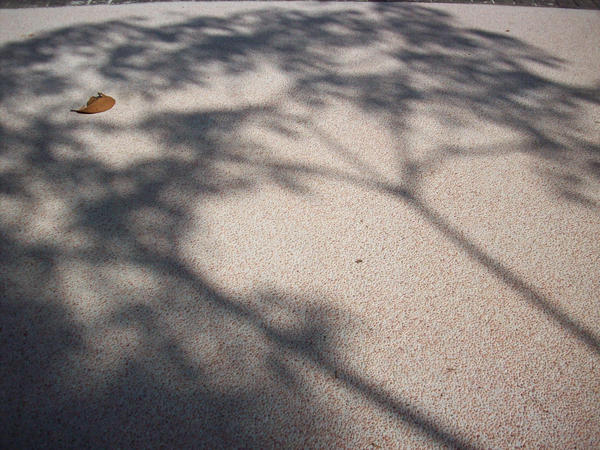 real or unreal by junchew on DeviantArt