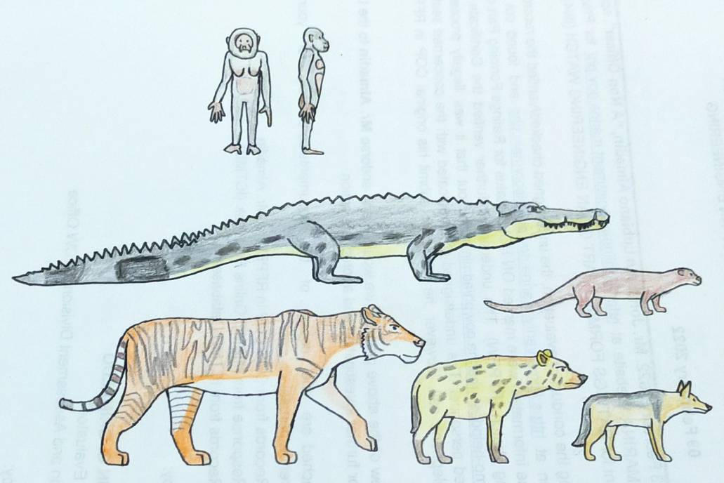 Ancestors Humankind Odyssey By Torm28 On Deviantart