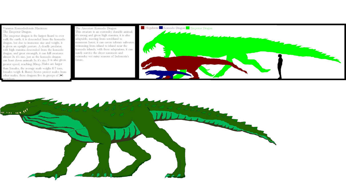 The Emperor Dragon. Larger by NazRigar on DeviantArt