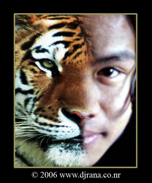 Dinger by djrana on DeviantArt