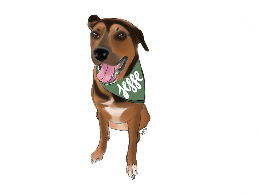 My Favorite Pup By Miyahp On Deviantart