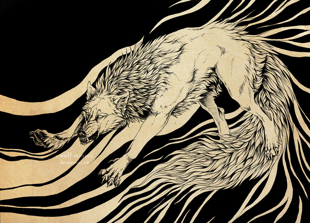 Zebra By Wolf Minori On Deviantart