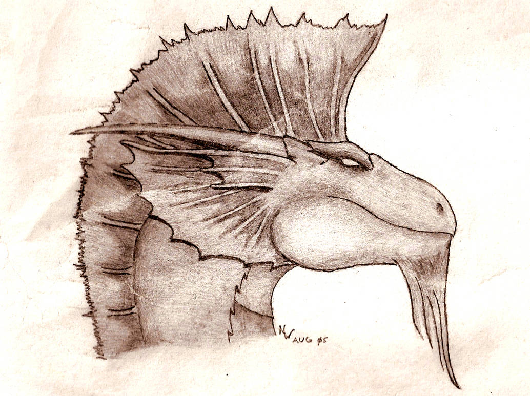 RockDrake by RockDrake24 on DeviantArt