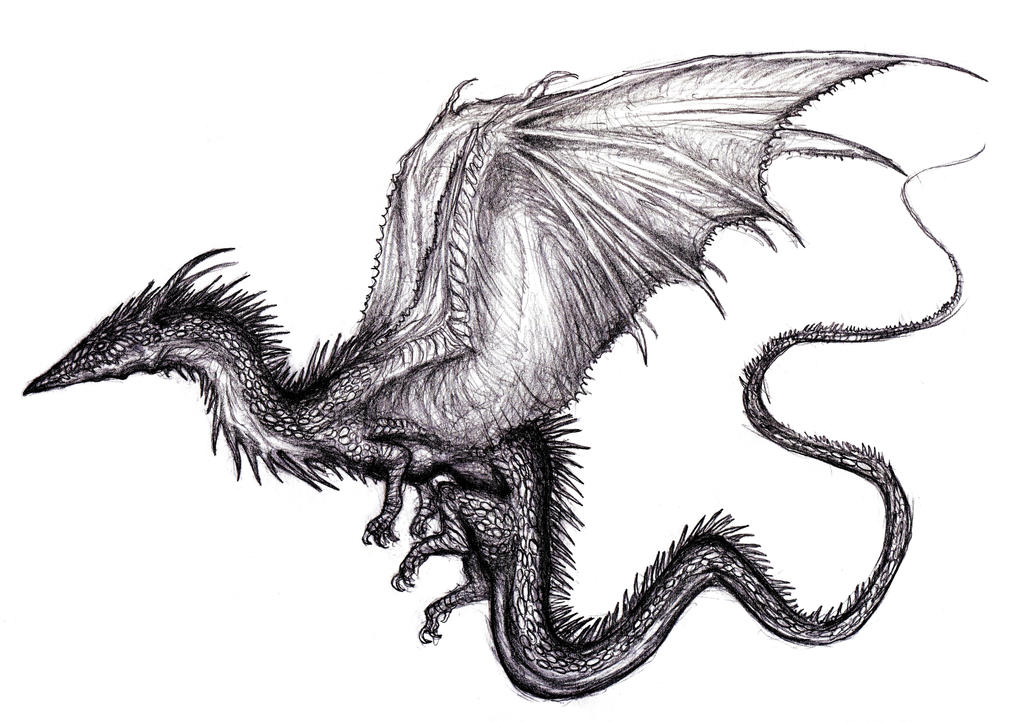Winged Dragon Xvii By Kingovrats On Deviantart