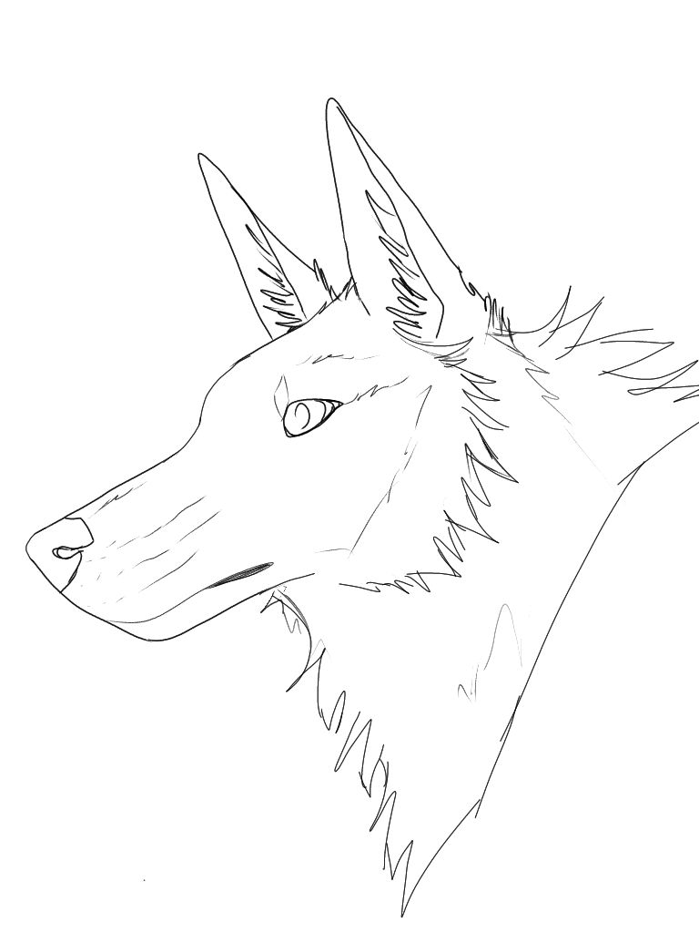 Wolf Sketch Thingy by Chizu55 on DeviantArt Wolf Sketch Thingy by Chizu55 on DeviantArt