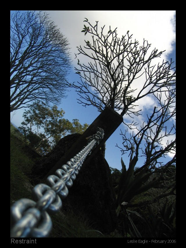 Restraint by RadiumDream on DeviantArt