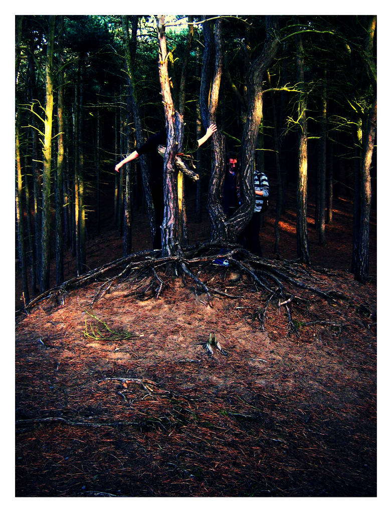 Woodland Nymphs By Apocalove On Deviantart