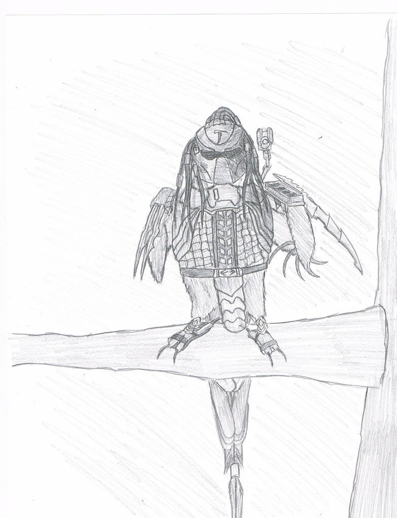 cockatiel predator by The-Great-Pipmax on DeviantArt cockatiel predator by The-Great-Pipmax on DeviantArt