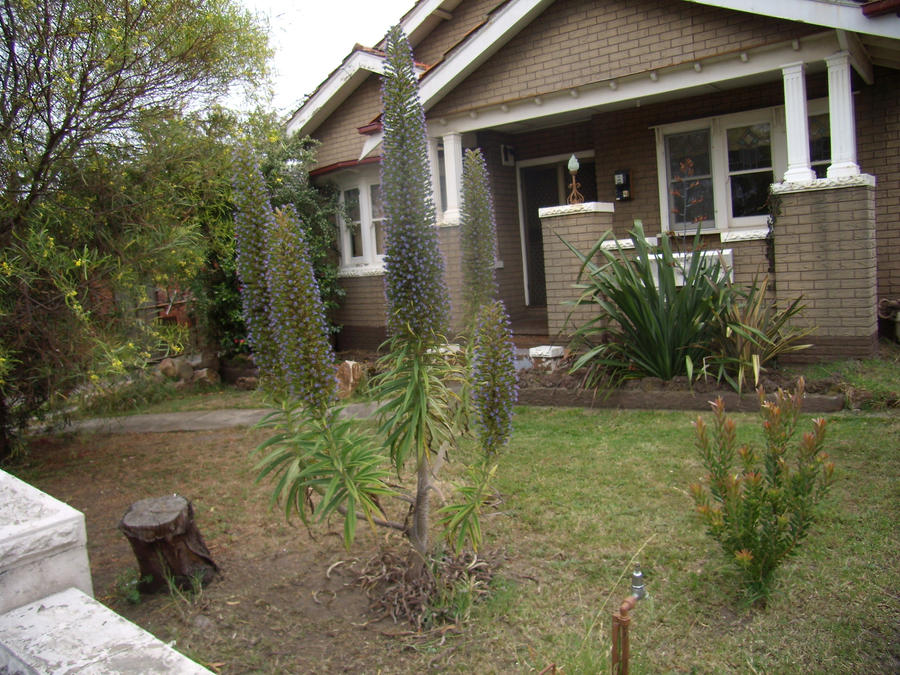 Cone heads by kultarr on DeviantArt