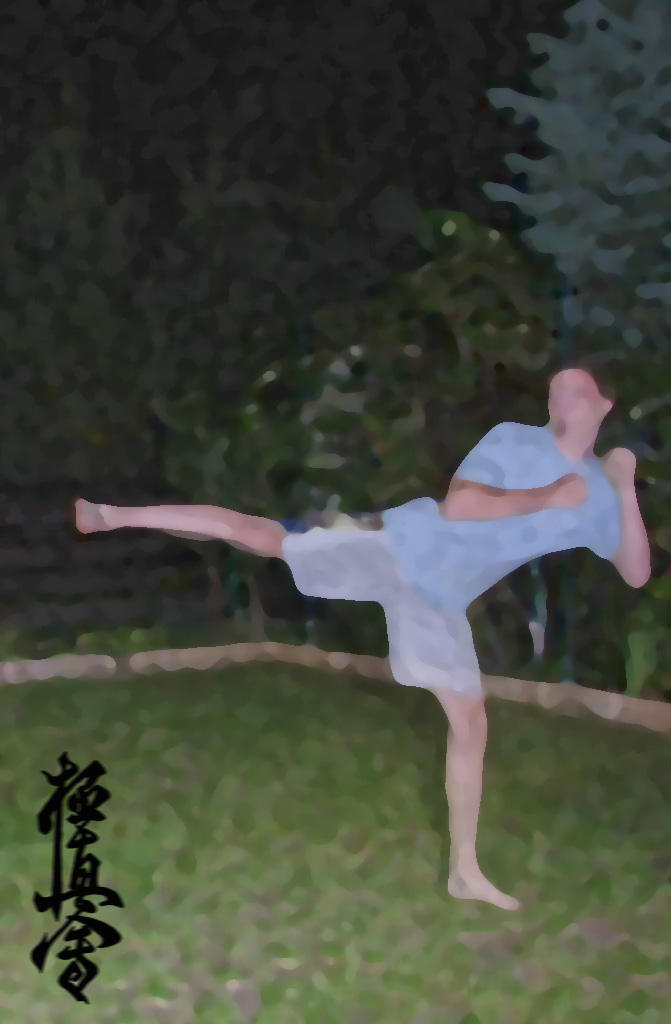 Kyokushin By Piotrekbmx On Deviantart