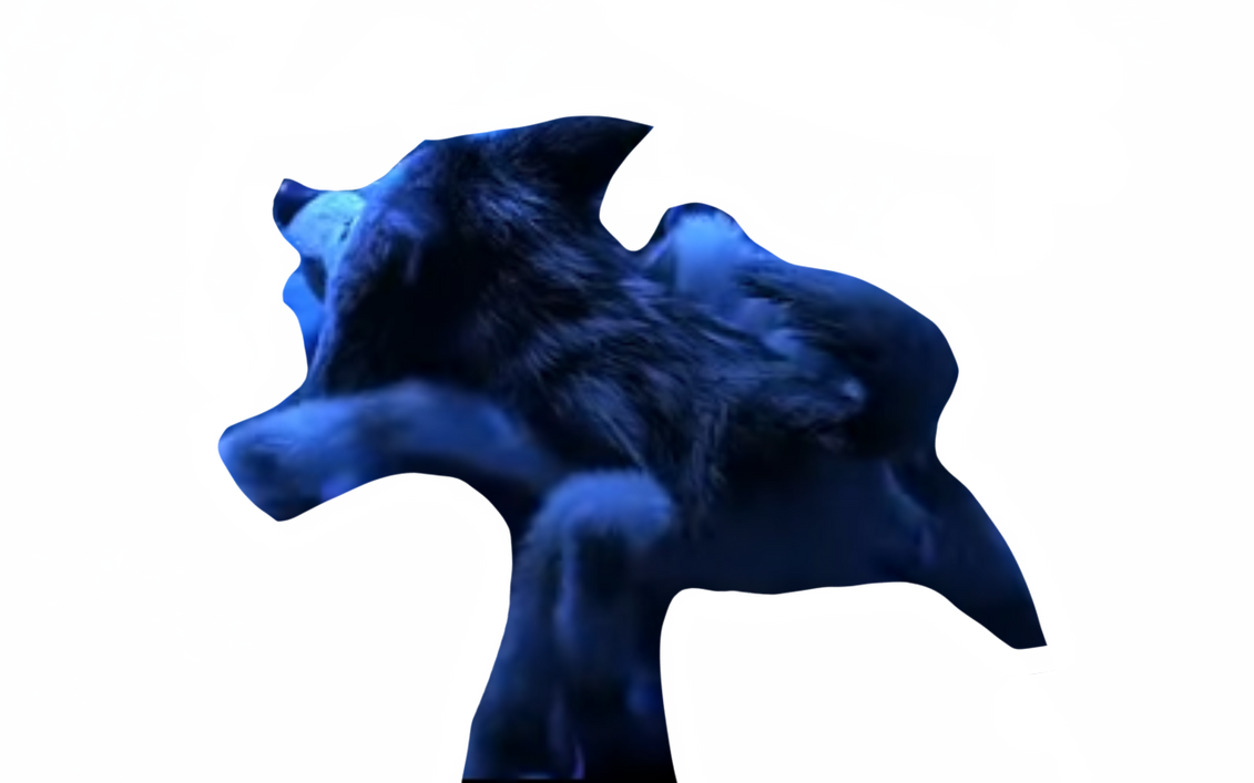 Wolf Spider By Dracoawesomeness On Deviantart