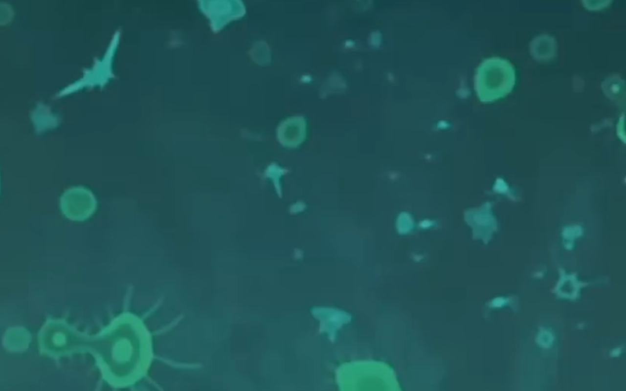 Osmosis Jones Background By Dracoawesomeness On Deviantart