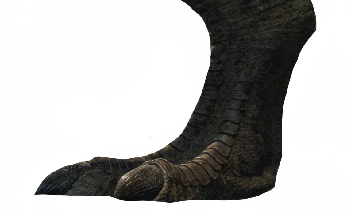 T Rex Foot By Walking With Dragons On Deviantart