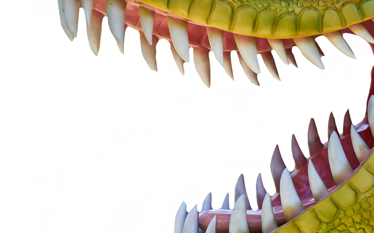 Dinosaur Teeth By Dracoawesomeness On Deviantart