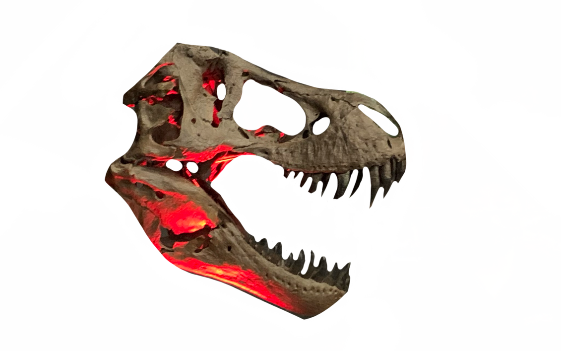 T Rex Fossil By Dracoawesomeness On Deviantart