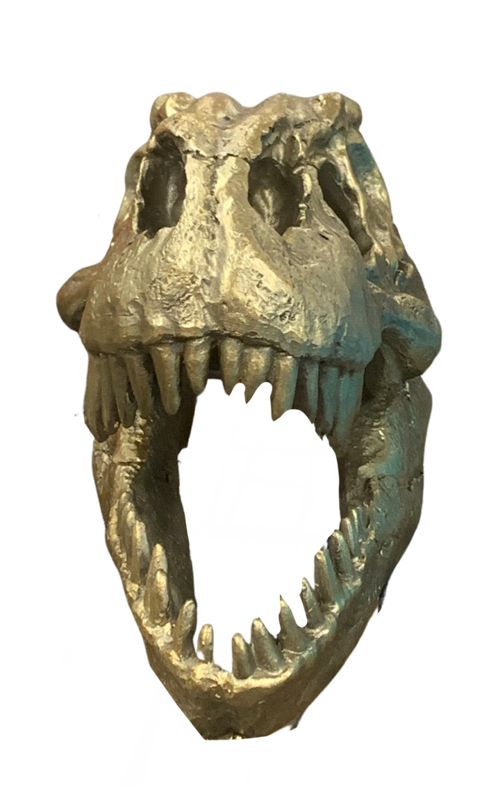 T Rex Fossil By Dracoawesomeness On Deviantart