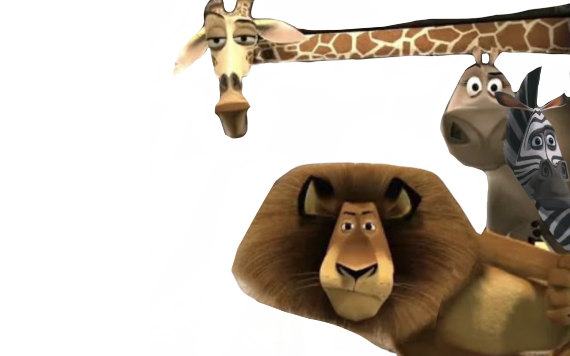 Alex Gloria Melman And Marty By Dracoawesomeness On Deviantart