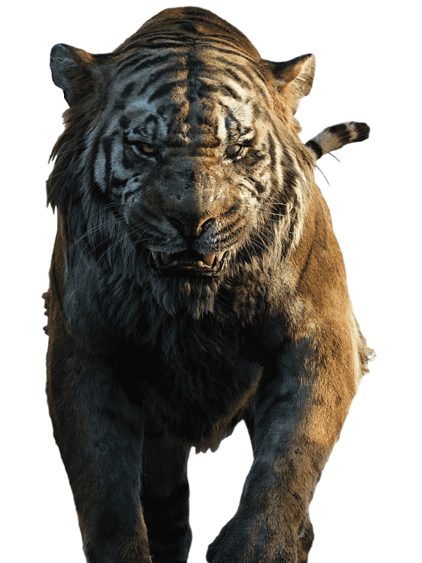 Shere Khan By Dracoawesomeness On Deviantart