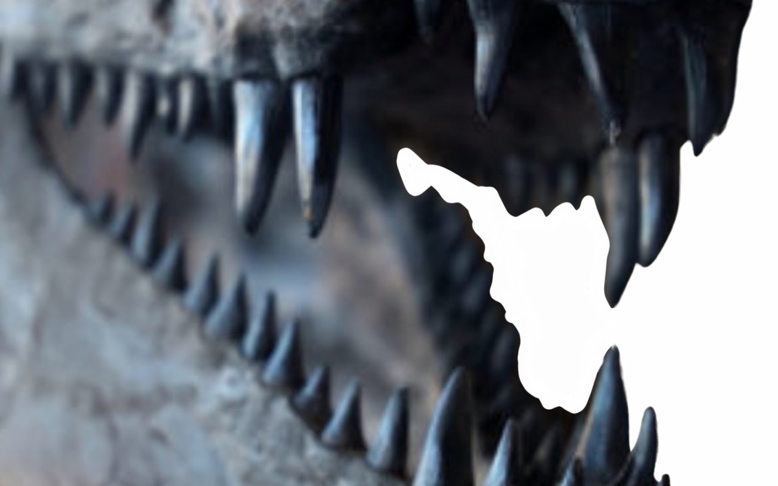 Dinosaur Teeth By Dracoawesomeness On Deviantart