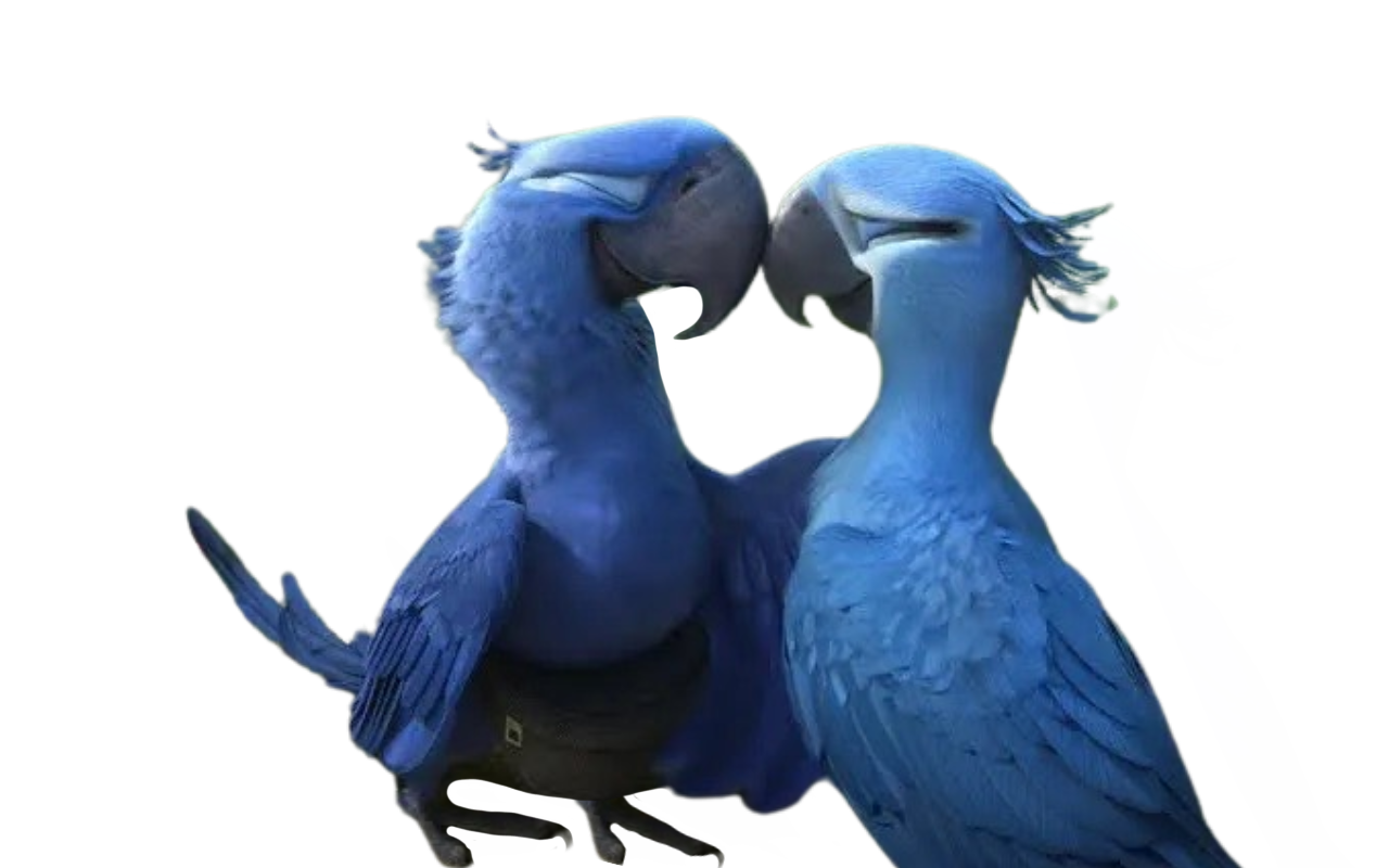 Blu And Jewel By Dracoawesomeness On Deviantart