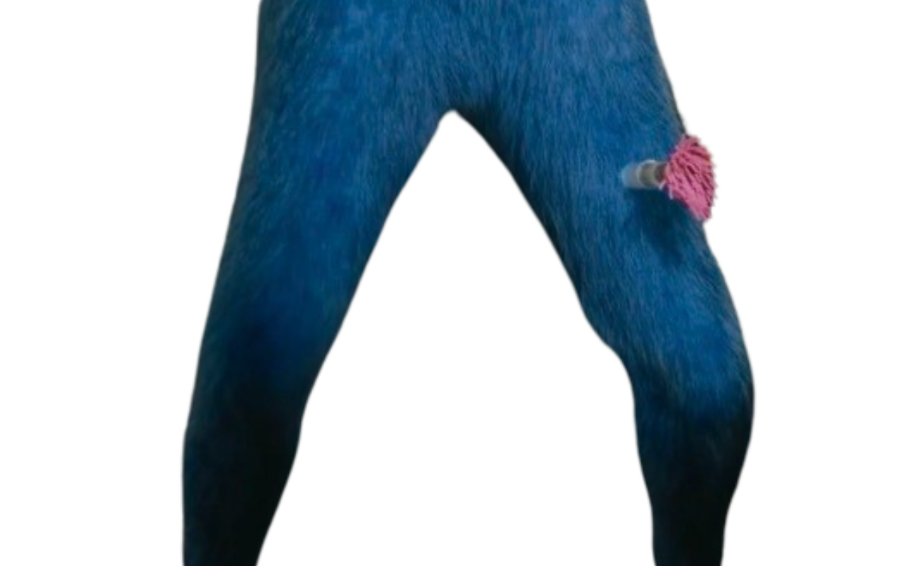 Ugly Sonic Shot By Dracoawesomeness On Deviantart